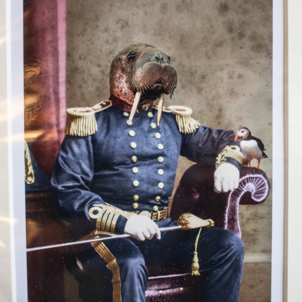 Signed Limited Print Adrian Higgins Return From the Puffin Island ...